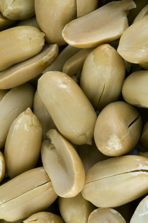 Salted american peanuts stock photo. Image of butter - 128559204