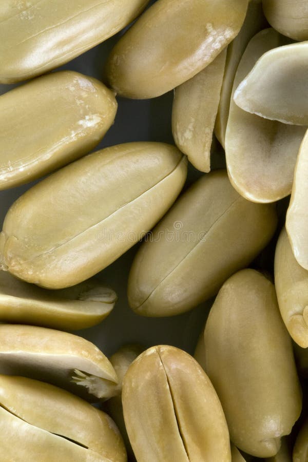 Salted american peanuts stock photo. Image of pasta - 128559230