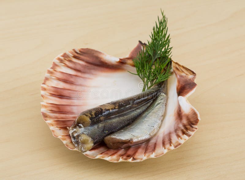 Salted anchovy stock photo. Image of fish, breakfast - 51042474