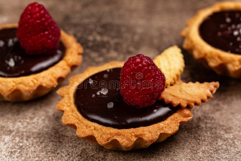 Salted Chocolate Mini Tarts with Chocolate Ganache Cream Stock Image ...