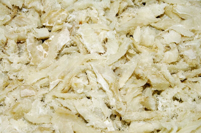 Saltfish stock photo. Image of baccala, frozen, salting - 289128