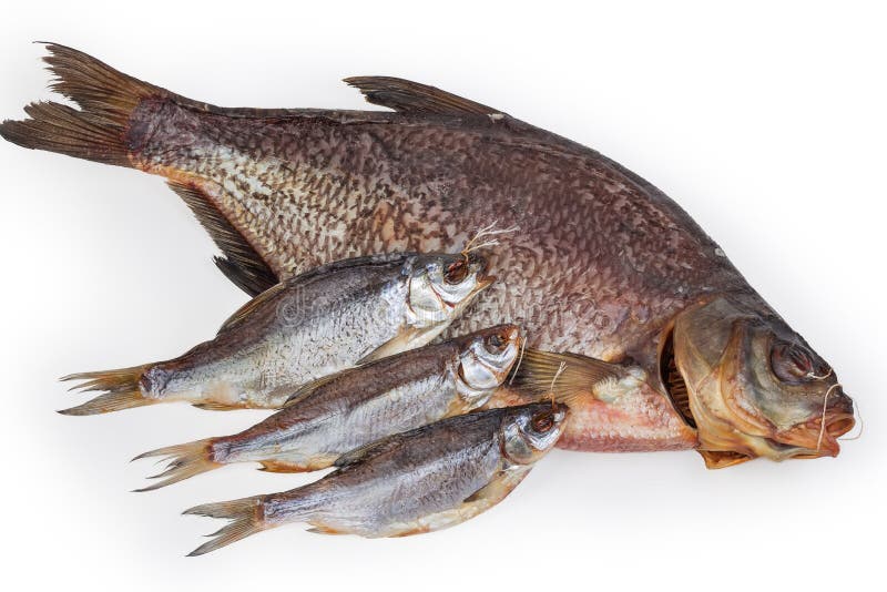 Drying carp fish stock image. Image of tied, meat, background - 51817523