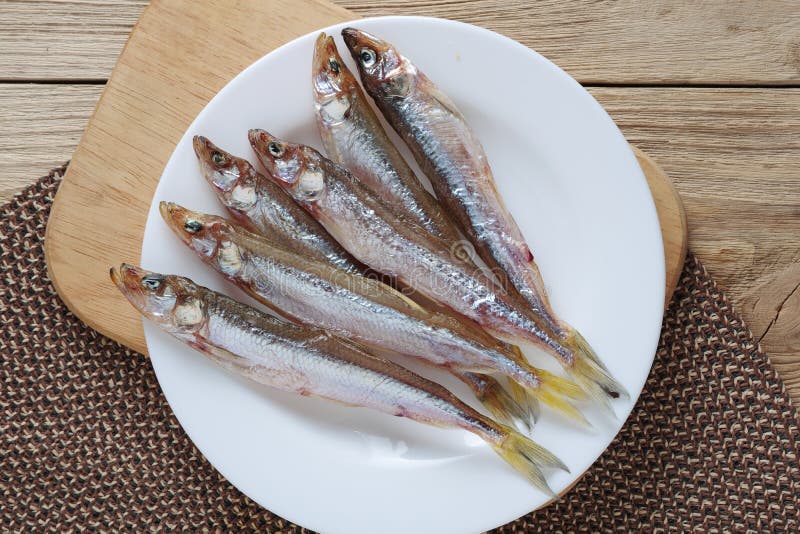 Salted-dried capelin fish stock image. Image of fish - 214526033