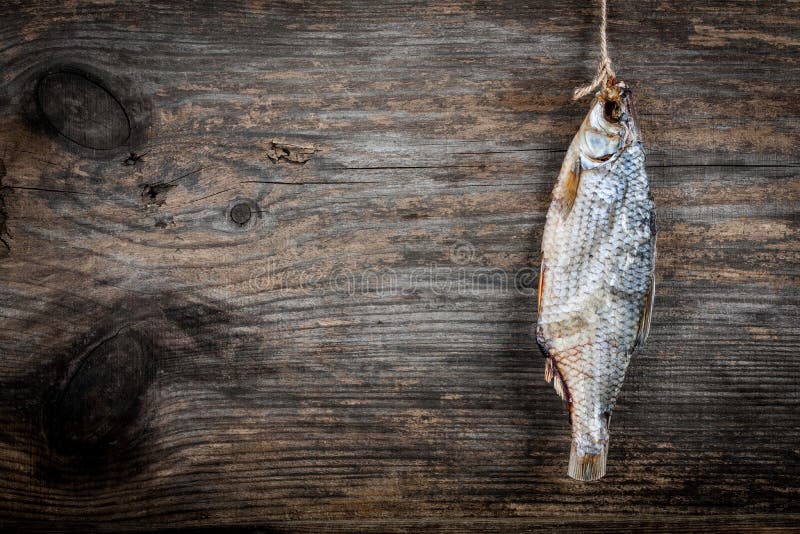 Salted, Sun Dried Tilapia Fish Dorsal Fin Stock Image - Image of ...