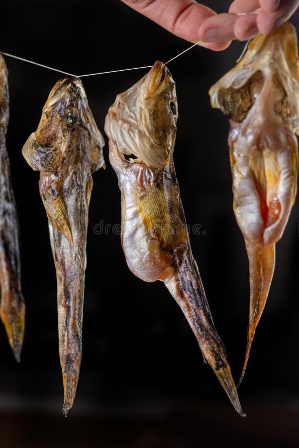 Salted Dried Goby Fish. Fish Appetizer for Beer Stock Photo - Image of ...