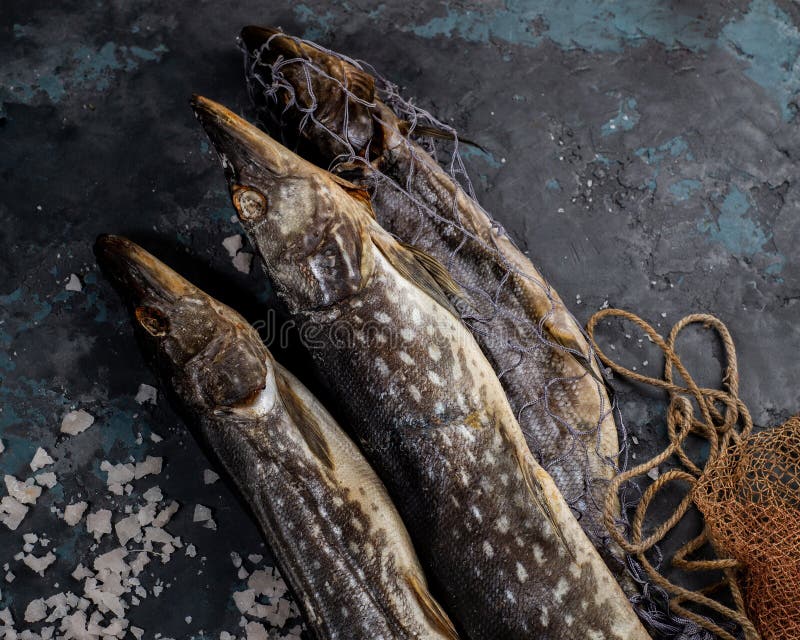 Salted Dried Pike. Fish Appetizer for Beer Stock Photo - Image of beer ...