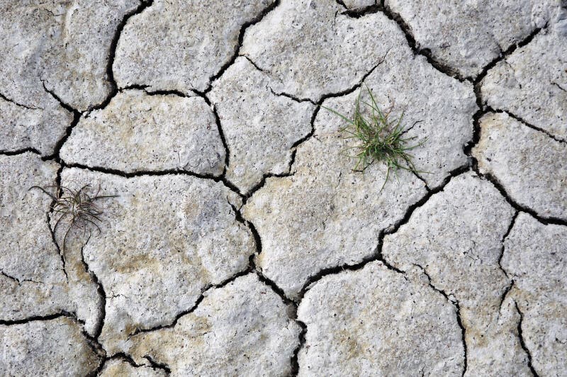 Salted dry land stock photo. Image of salty, crack, background - 21377476
