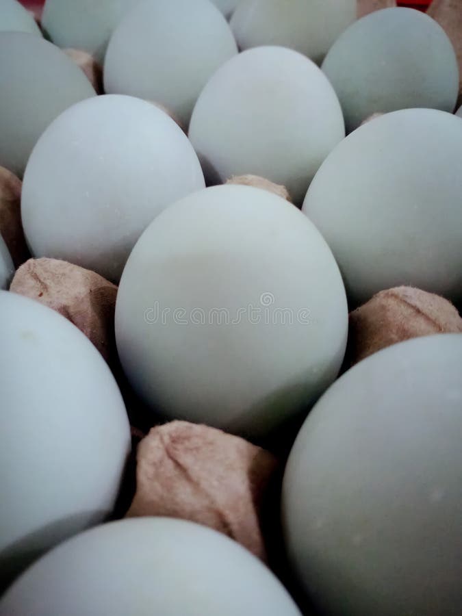 The Salted Duck Egg on His Shell Stock Image - Image of salted ...