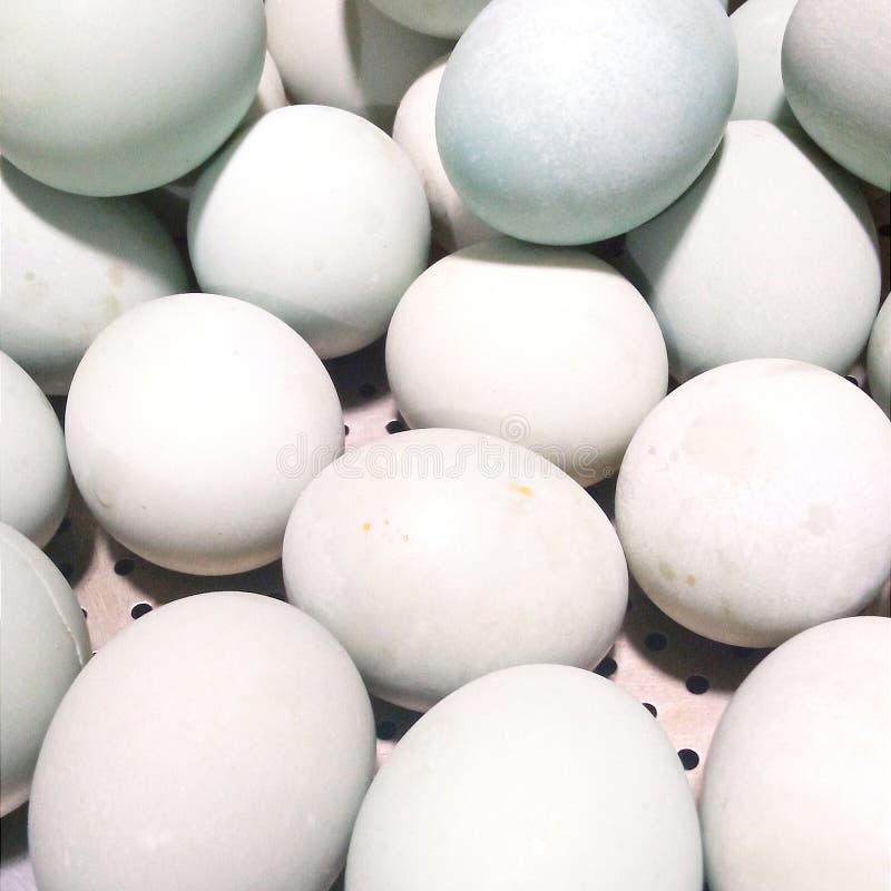 Salted Egg is a Typical Food of the Brebes Area, Central Java. the Eggs ...