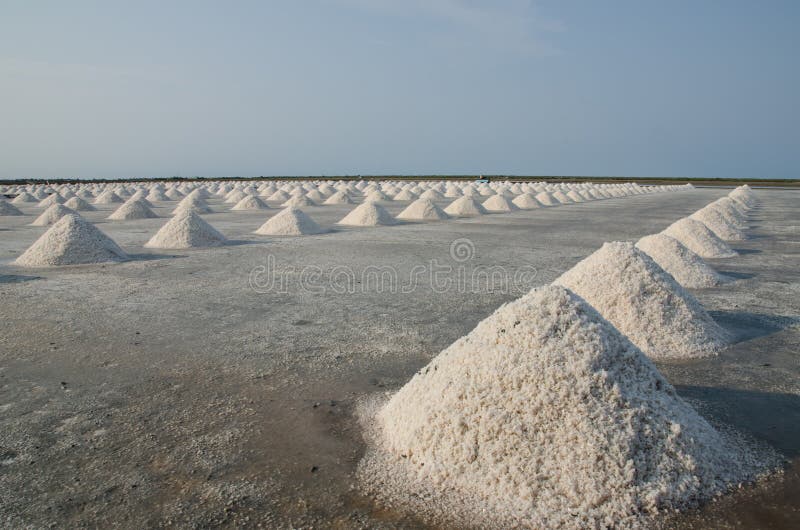 Salted farm stock image. Image of nature, tropical, thailand - 49569893