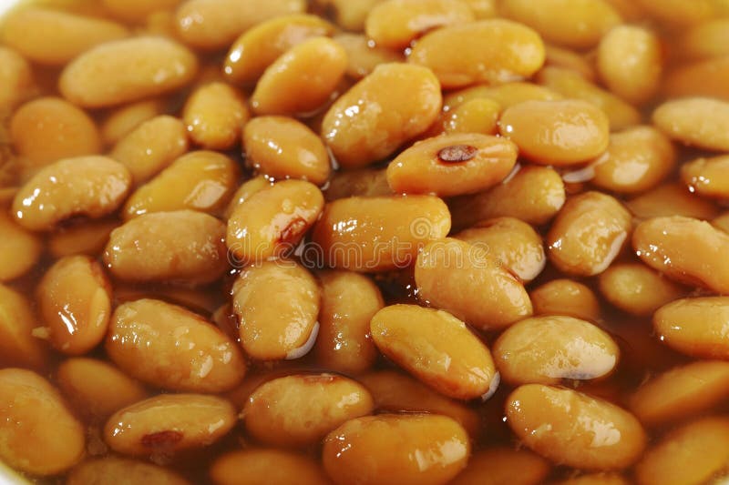 Salted fermented soy beans stock photo. Image of horizontal - 23319346