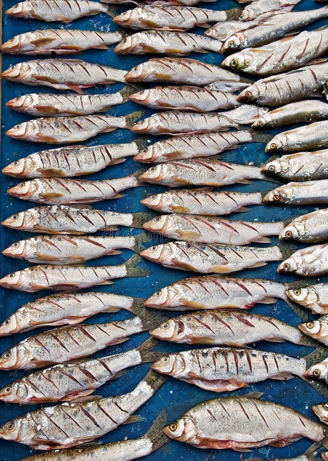 Salted fish stock photo. Image of scales, dried, chinese - 13081434
