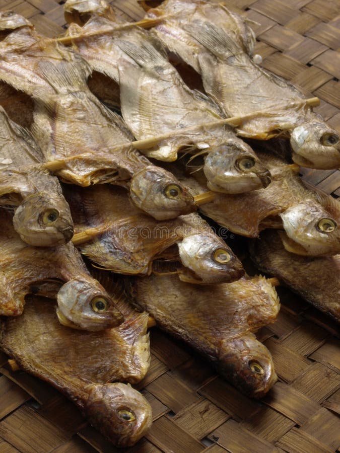 Salted fish stock photo. Image of salty, protein, preserve - 9851138
