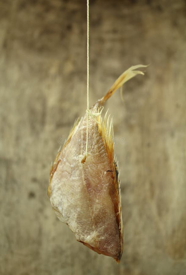 Salted fish stock image. Image of redfish, saithe, dreught - 62536213