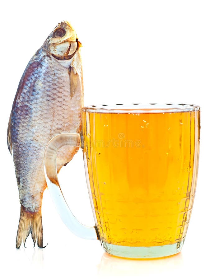 Salted fish on a beer mug stock photo. Image of glass - 20180370