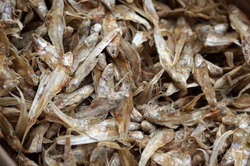 Salted Fish in Containers on Display for Sale in Traditional Markets ...