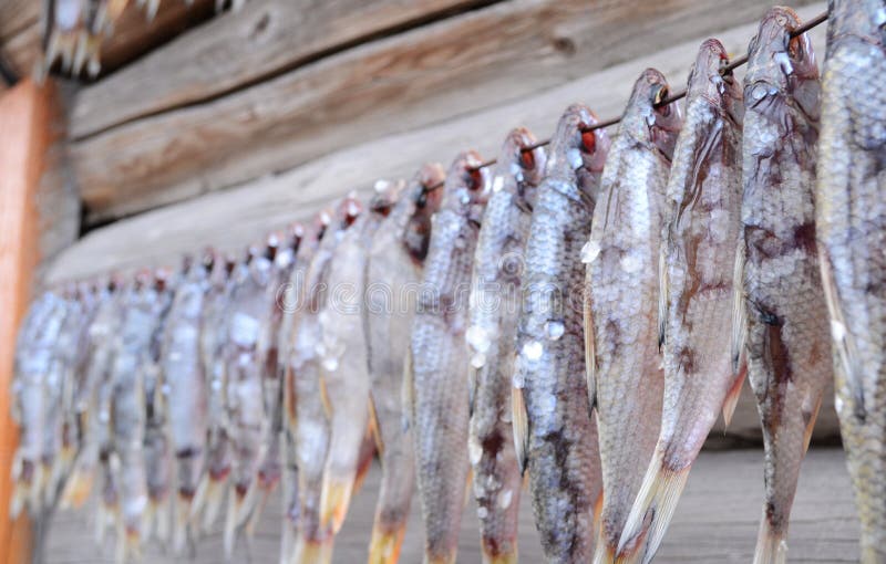 Fish, Dried Fish Dries in the Sun, Beer Appetizer, Dried Fish Stock ...