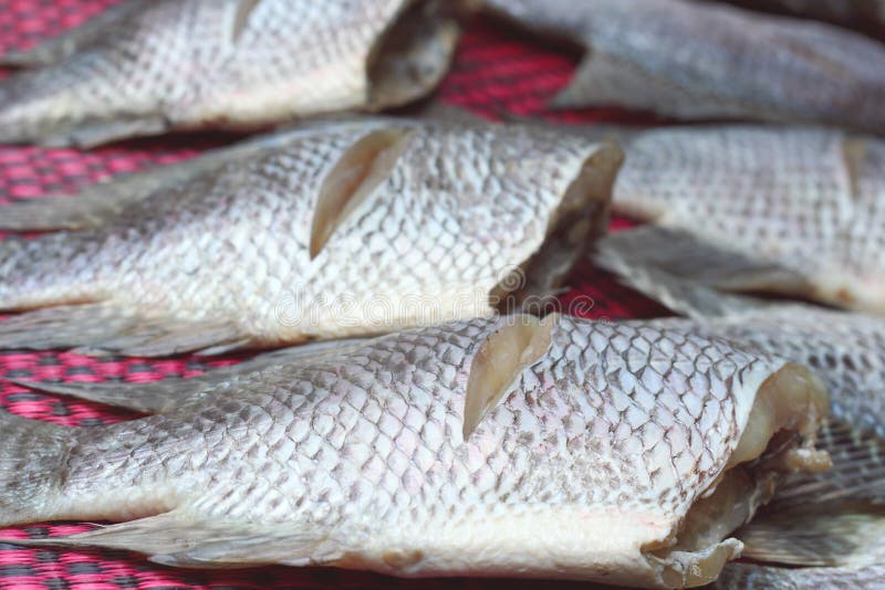 Salted Fish Dry or Dried Fish Stock Image - Image of food, freshness ...