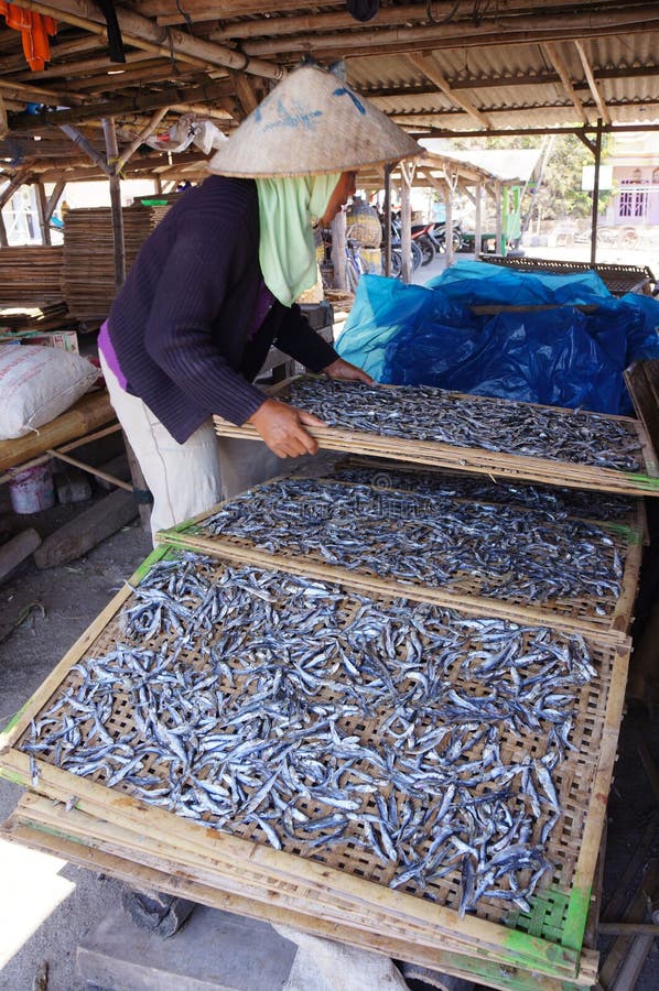 Salted fish editorial image. Image of fish, salted, drying - 45343970