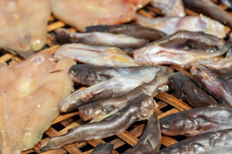Salted Fish is Fish that Has Preserved by Means of Salting Stock Image ...
