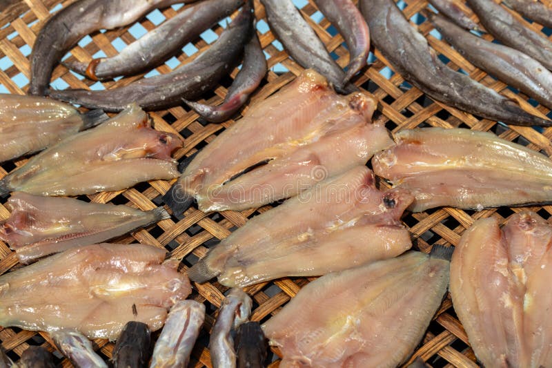 Salted Fish is Fish that Has Preserved by Means of Salting Stock Image ...