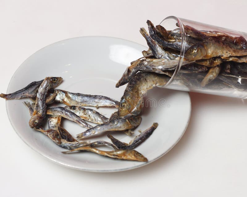 Salted Fish Isolated on Bright Background. Stock Photo - Image of ...