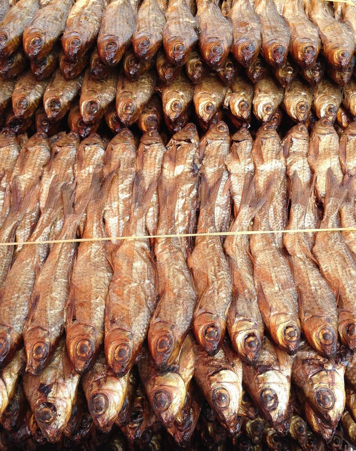 Salted fish stock image. Image of dried, salty, fish - 42755763