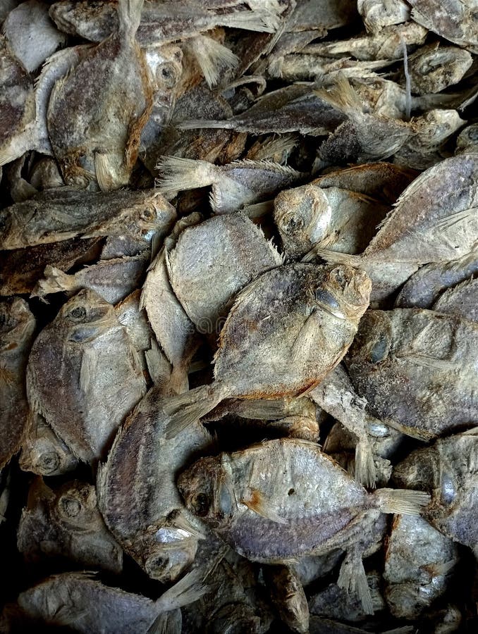 Salted Fish, One of the Ways To Preserve Fish with the Salting Process ...
