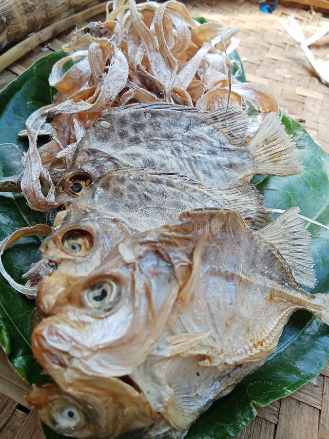 Salted Fish, Fish Preserved with Salt Stock Photo - Image of ingredient ...