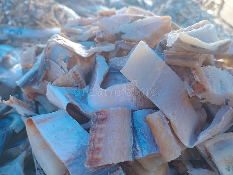 Several Salted Fish Piled Up in the Market Stock Photo - Image of ...
