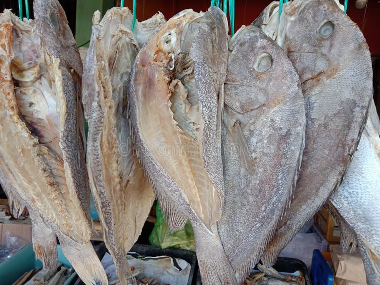 Salted Fish Red Snapper Dry Condition Stock Photo - Image of fish ...