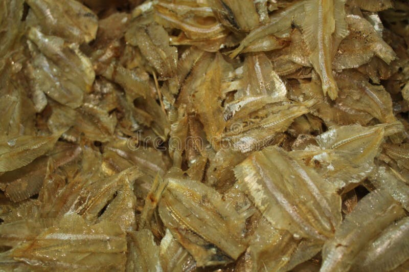 Salted Fish stock photo. Image of seafood, nature, white - 240761182