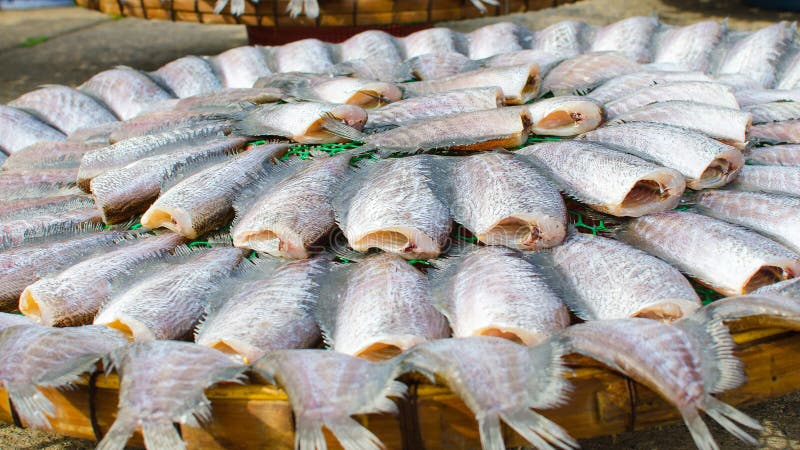 231 Sunshine Salted Fish Stock Photos - Free & Royalty-Free Stock ...