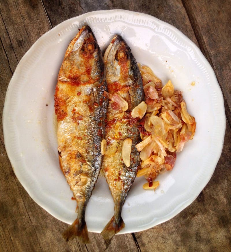 Salted fishes stock image. Image of salted, dish, food - 68606713