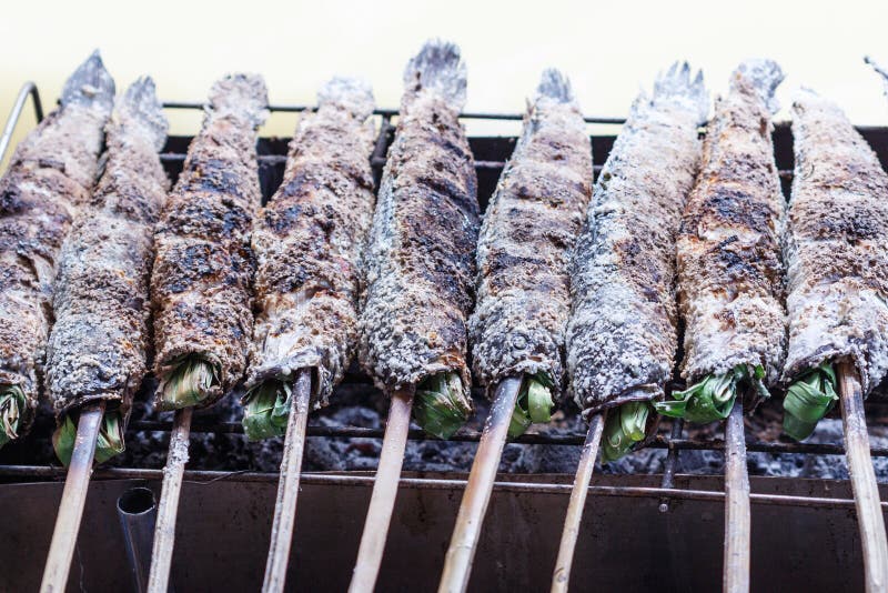 Salted Grill Snakehead Fish Stock Photo - Image of meat, thailand: 90729628