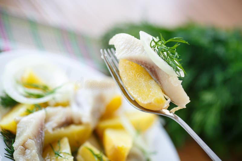 Salted Herring with Boiled Potatoes Stock Image - Image of meal ...