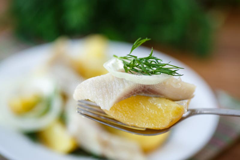 Boiled Cod Fish with Potatoes and Cole Stock Image - Image of aromatic ...