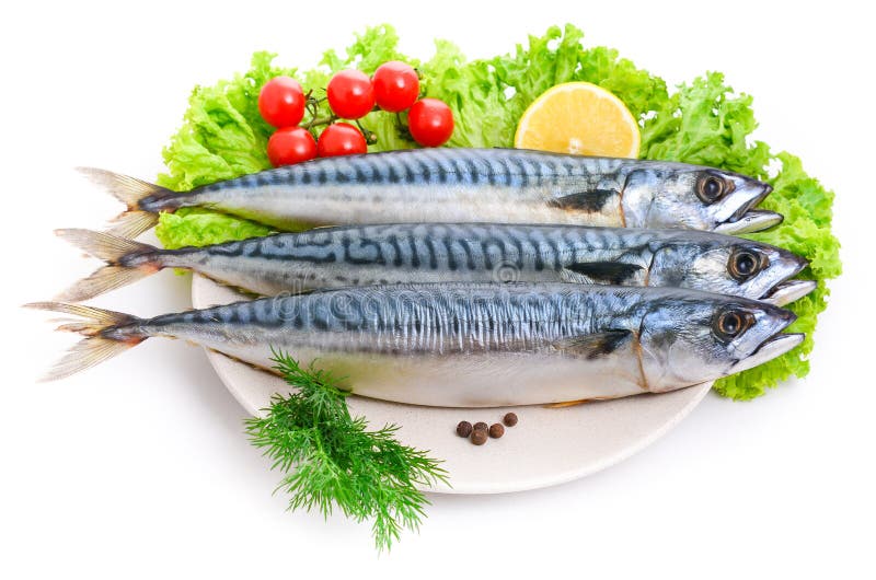 Salted mackerel. stock photo. Image of freshness, reflection - 19265972