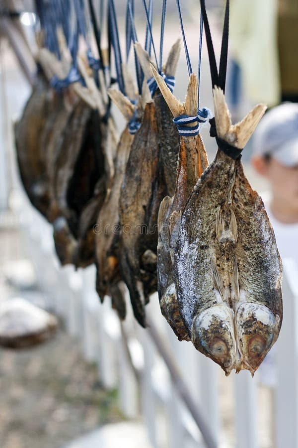 Salted Milk-fish stock photo. Image of gourmet, freshness - 22084220