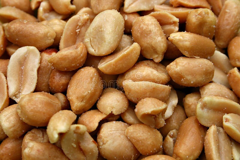 Parched corn stock photo. Image of foodstuff, parched, salted - 638288