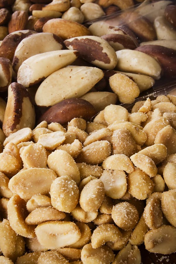 Brazil stock photo. Image of atlas, exploration, travel - 15873302