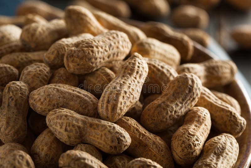 Salted Roasted Shelled Peanuts Stock Photo - Image of kernel, protein ...