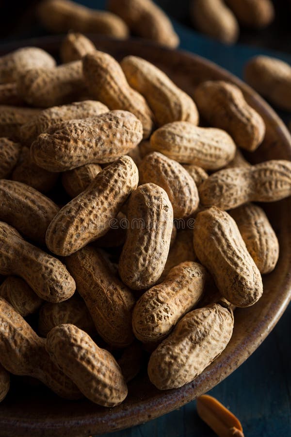 Salted Roasted Shelled Peanuts Stock Image - Image of nutrition ...