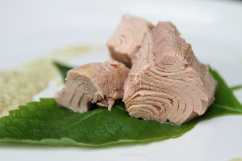 Salted tuna stock image. Image of tuna, texter, beautiful - 96824723