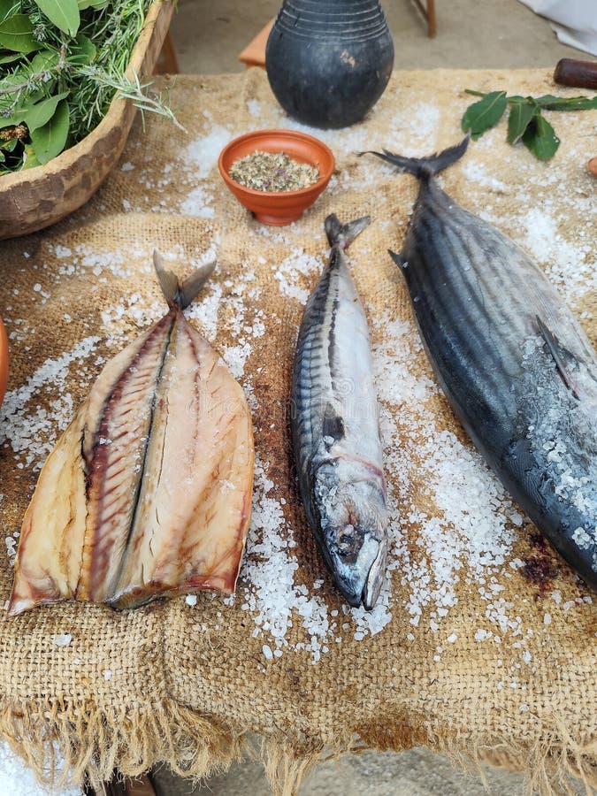 Salting Fish for Preservation: Ancient Food Techniques Stock Image ...