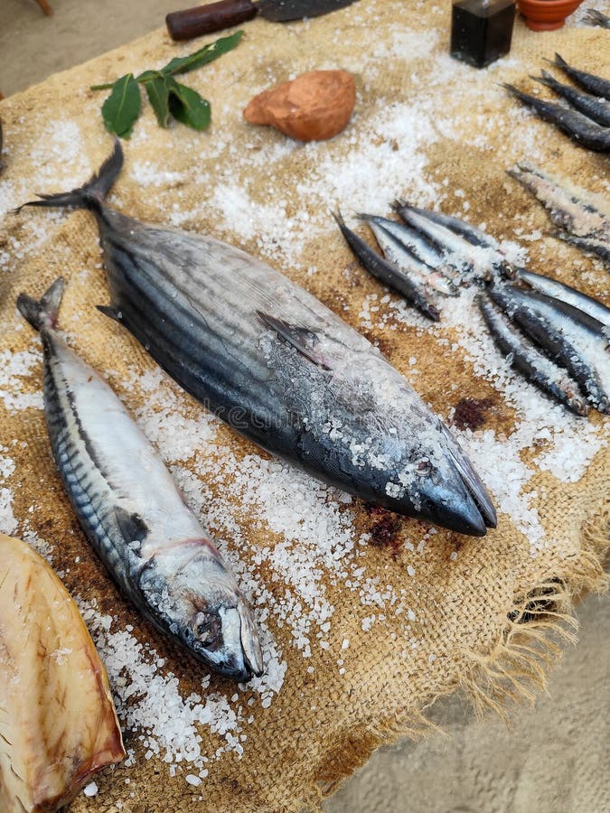 Salting Fish for Preservation: Ancient Food Techniques Stock Image ...