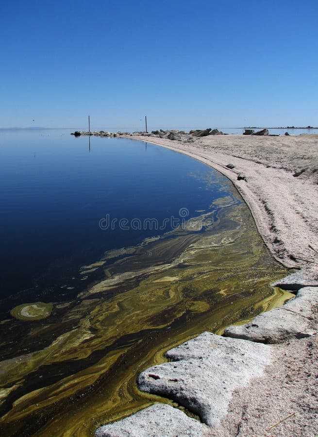 Salton Sea Scum Stock Photos - Free & Royalty-Free Stock Photos from ...