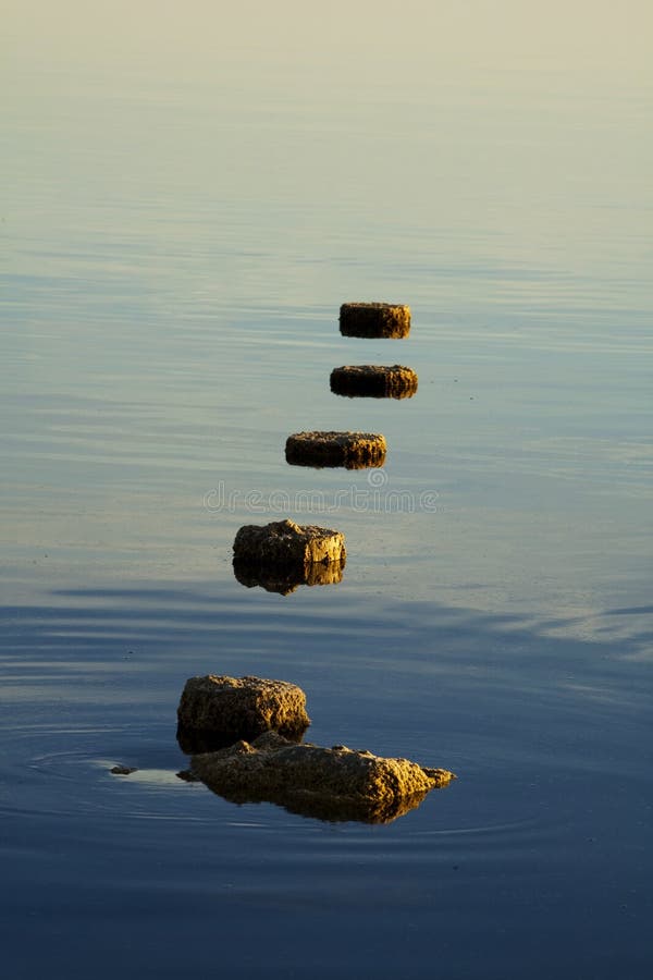 Salton Sea Stumps stock image. Image of composition, vertical - 8374639