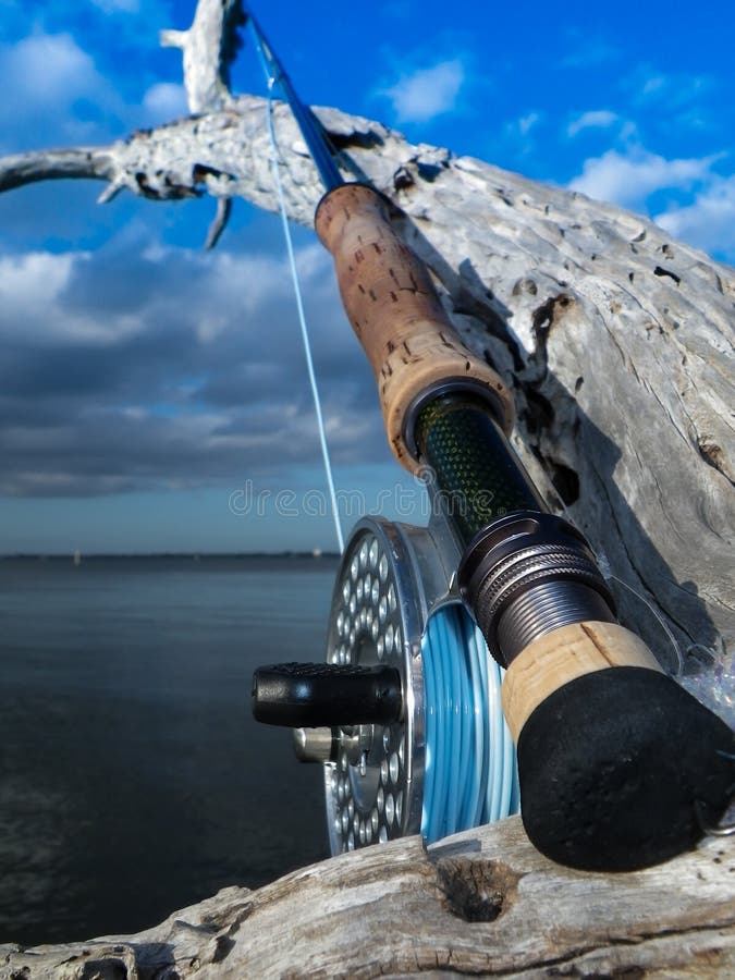 Saltwater Fly Fishing Wallpaper Saltwater Fly Fishing Fish Partner