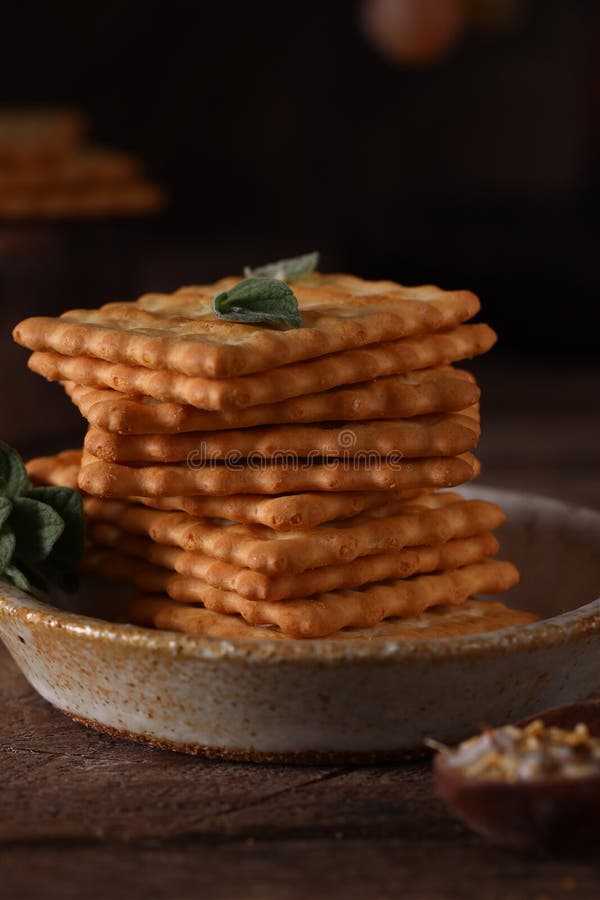 Salty cookie cracker stock image. Image of wheat, healthy - 262410923